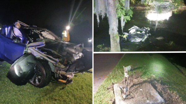 Wesley Chapel Fatal Tesla Autopilot Crash: What Florida Families Should ...
